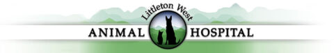 Specials | Littleton West Animal Hospital