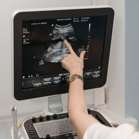 Pet Ultrasound In Littleton CO | Littleton West Animal Hospital